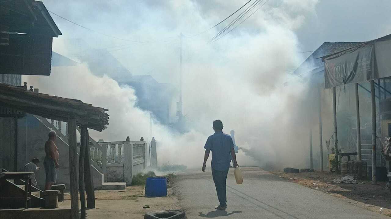 Cegah Merebaknya DBD, Pemdes Pedamaran 1 Bersama Puskesmas Gelar Fogging