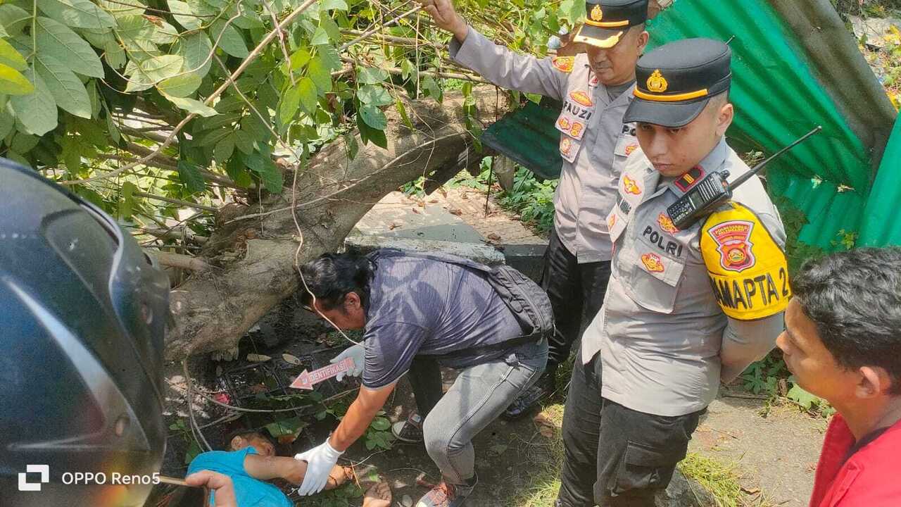 Pohon Tumbang di Jalan Kapten A Rivai Palembang Timpa Pengendara Motor ...