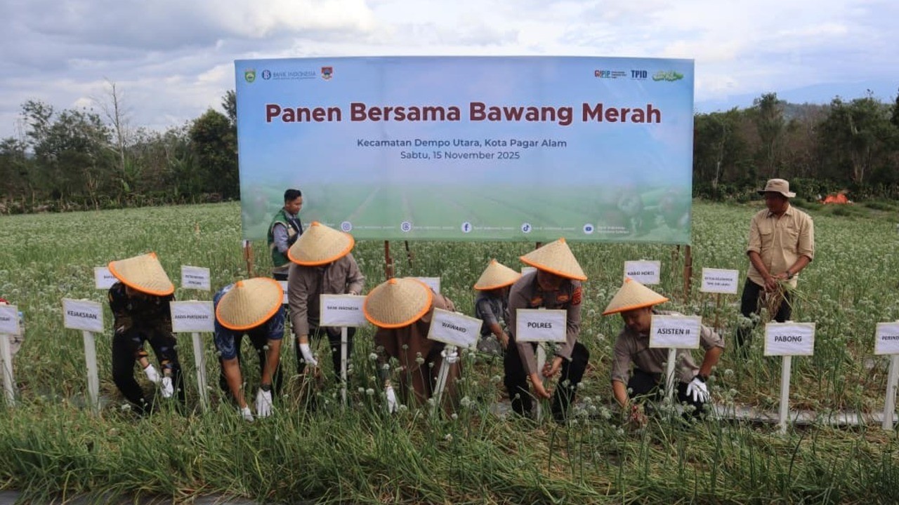Sinergi untuk Negeri: Panen Bawang Merah, Wujud Kerja Sama BI dan ...